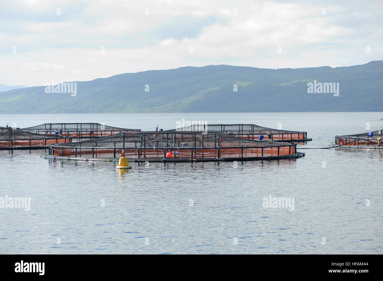 L'élevage de poissons en cages West Loch Tarbert sur la péninsule de ...