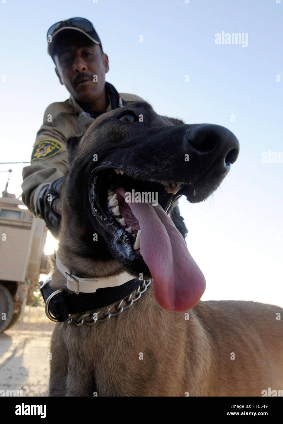 Un Irakien de chien prend le contrôle de son chien lors d'une K9 classe ...