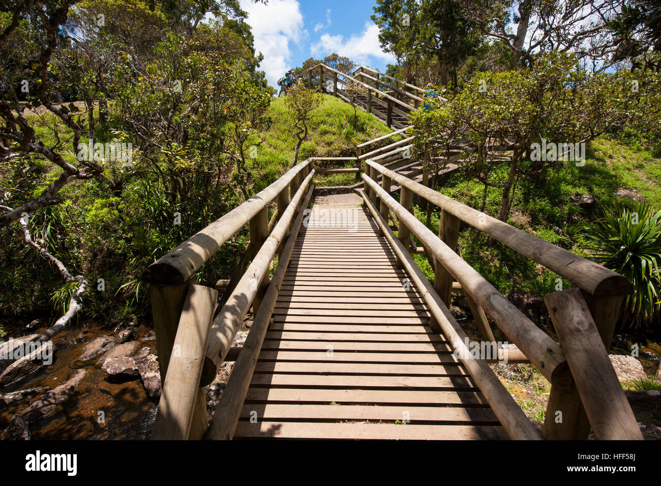 Alexandra Falls, une partie de la Gorges de la rivière Noire, Île ...