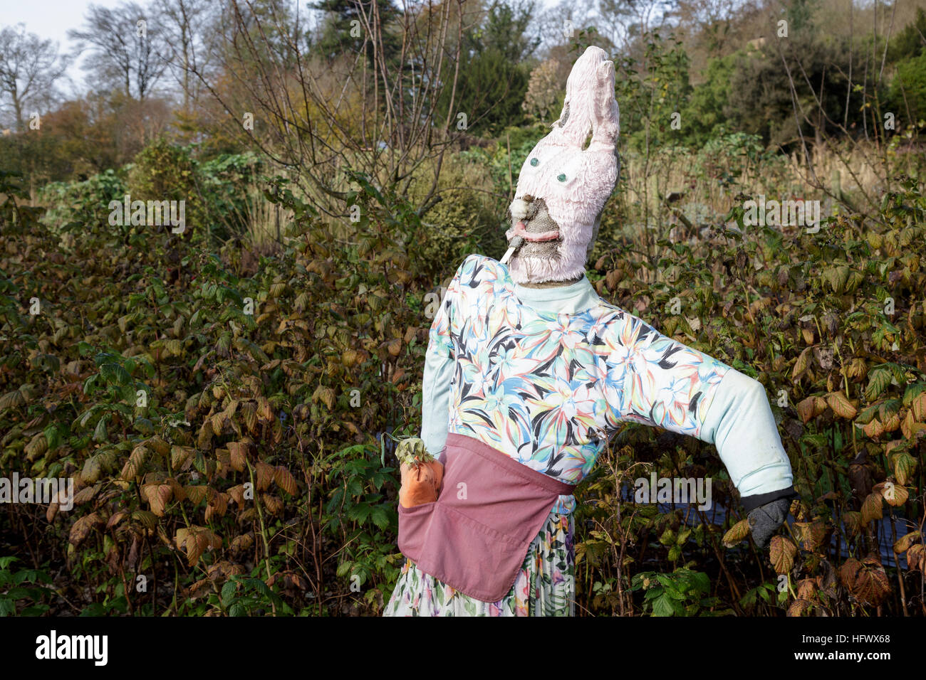 Épouvantail De Jardin Banque d'image et photos - Alamy