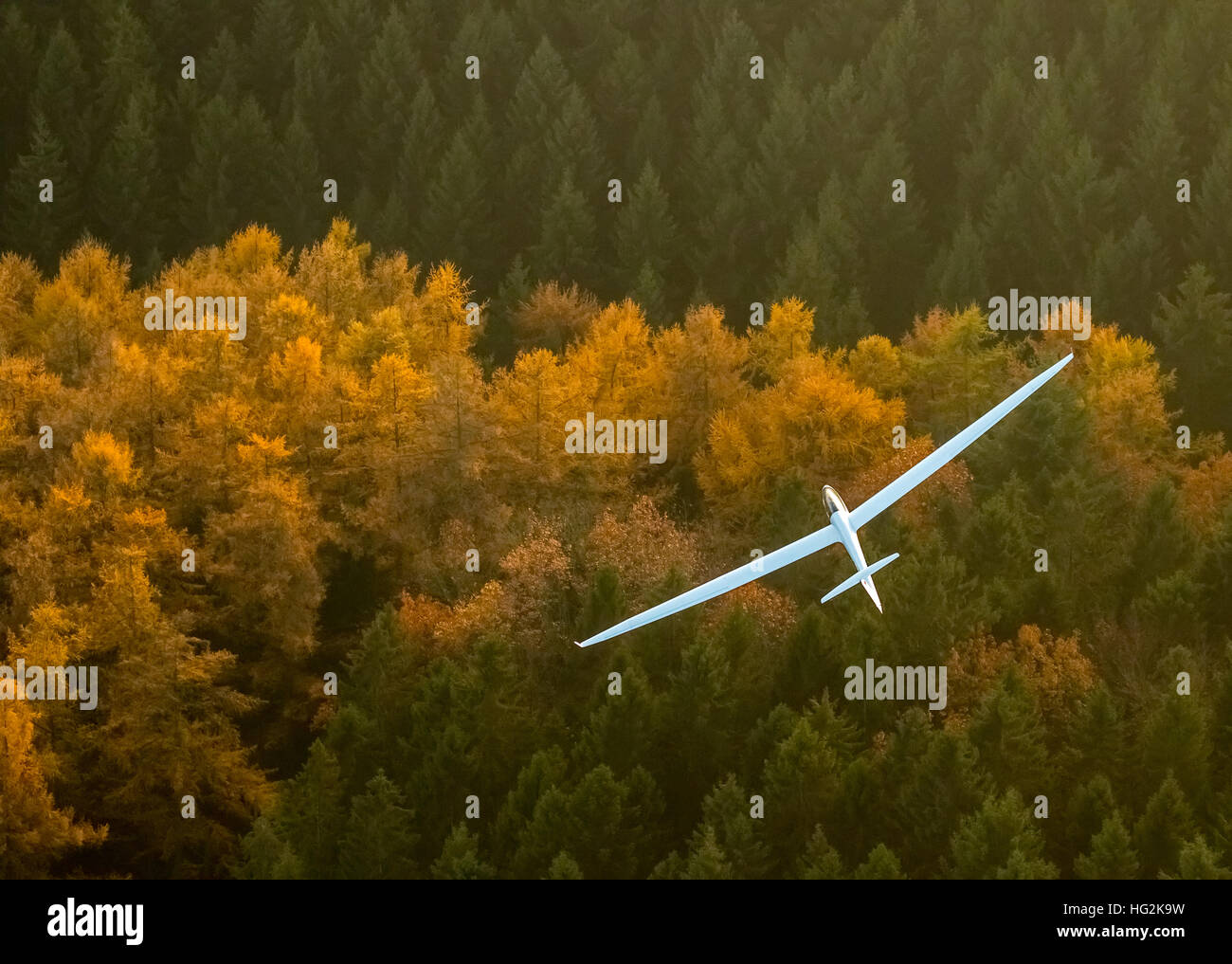 Schempp hirth duo discus Banque de photographies et d’images à haute ...