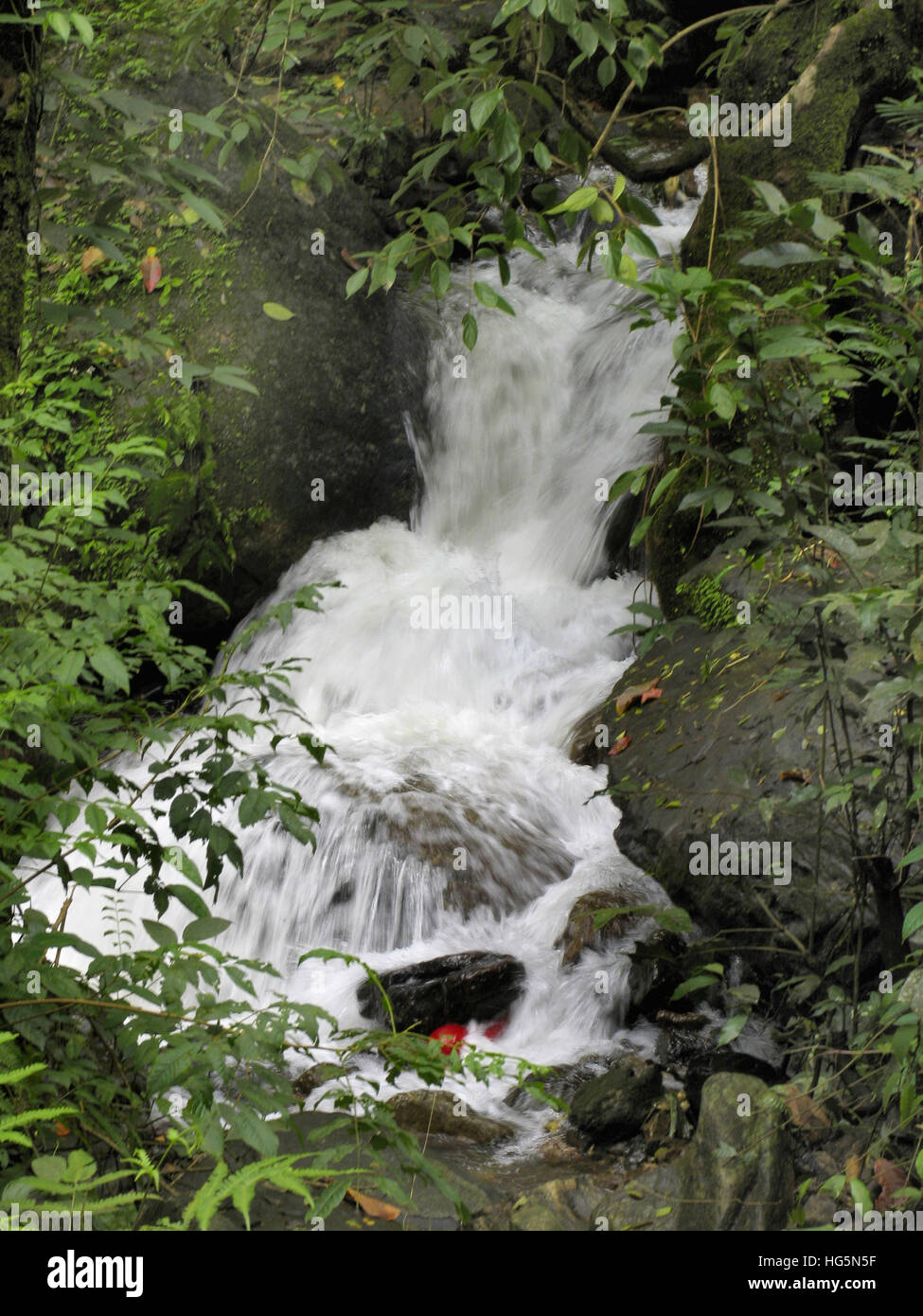 Temple thirunelli Banque de photographies et d’images à haute ...