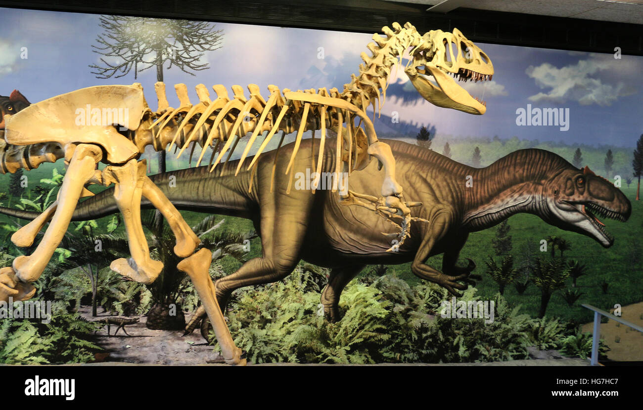 Dinosaur national monument Banque de photographies et d’images à haute résolution - Alamy