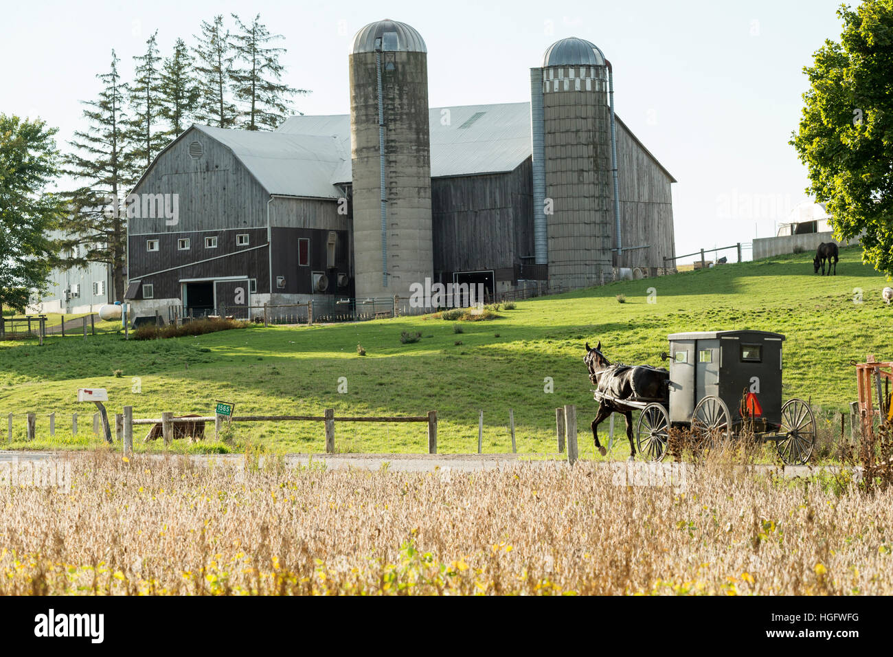 Mennonite canada Banque de photographies et d’images à haute résolution ...