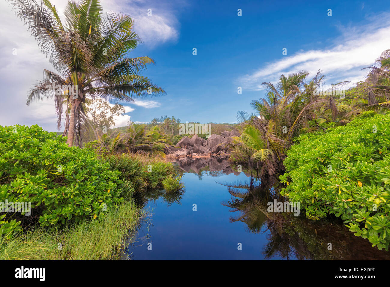 Lac tropical jungle africaine dans l'île de La Digue, aux Seychelles ...