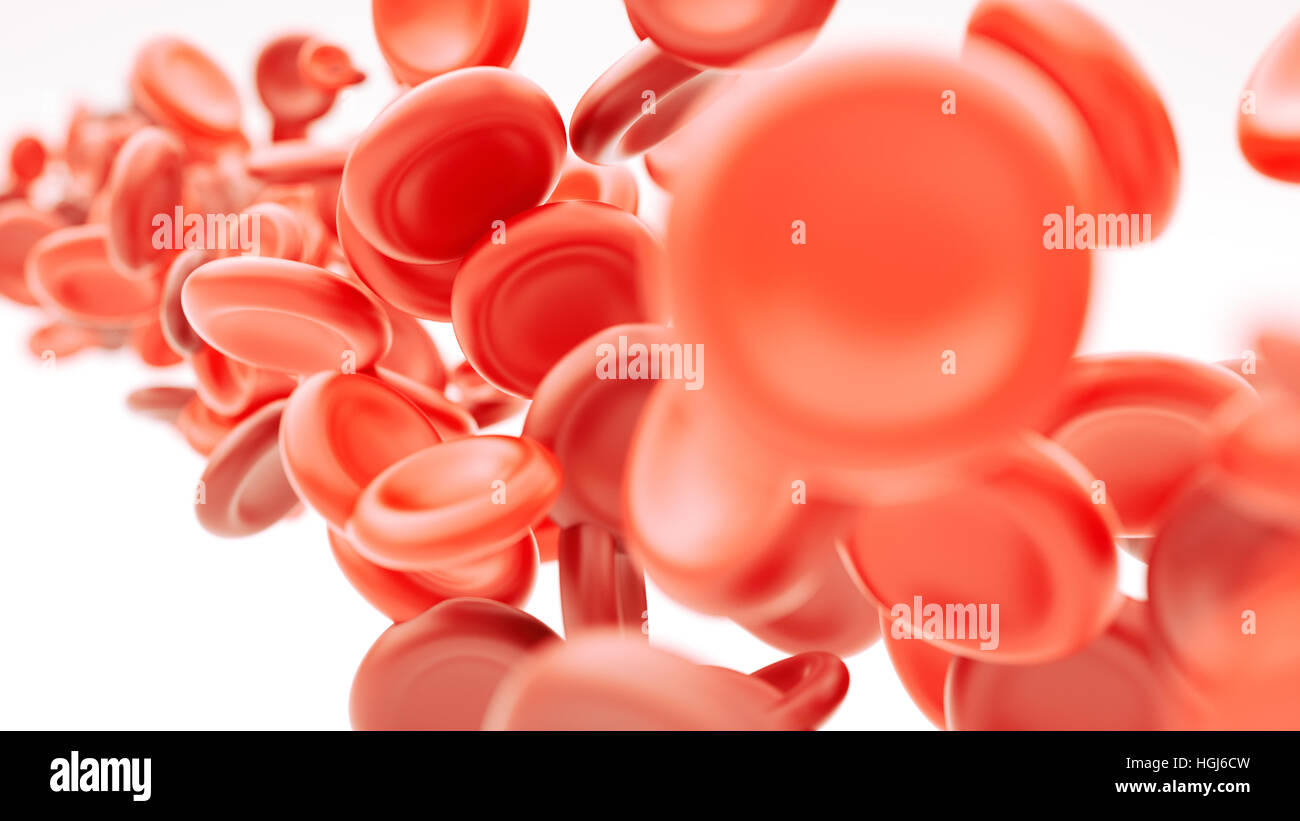 Les cellules du sang qui coule - le rendu 3D Photo Stock - Alamy