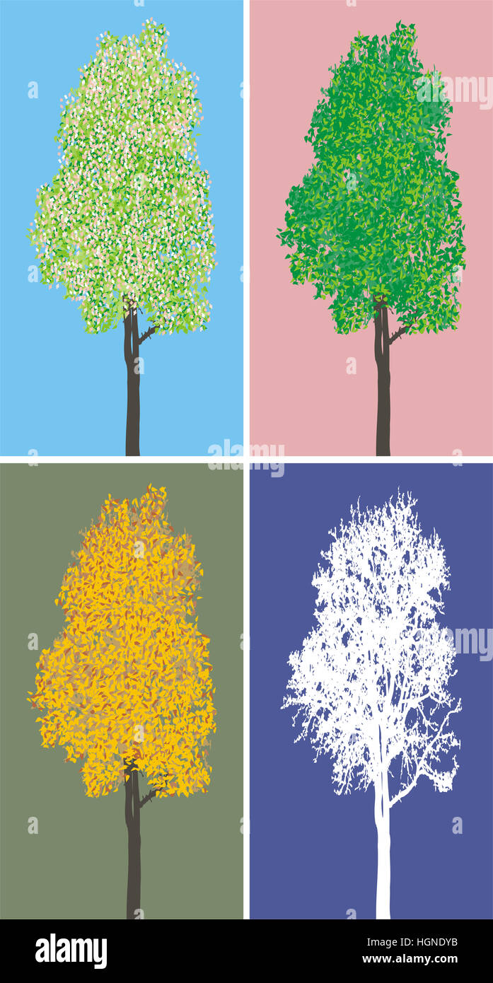 Illustration four seasons tree Banque de photographies et d’images à ...