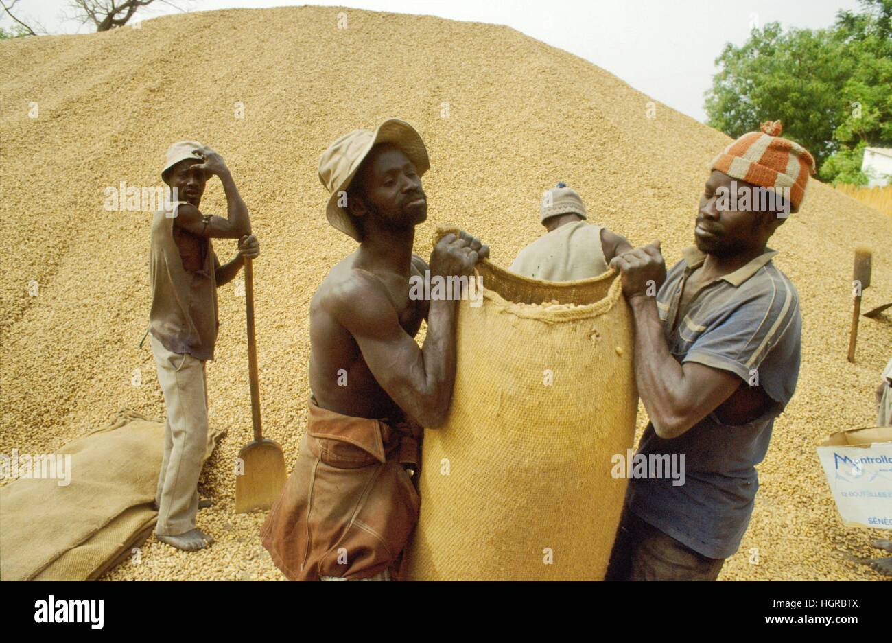 Peanuts Senegal Banque d'image et photos - Alamy