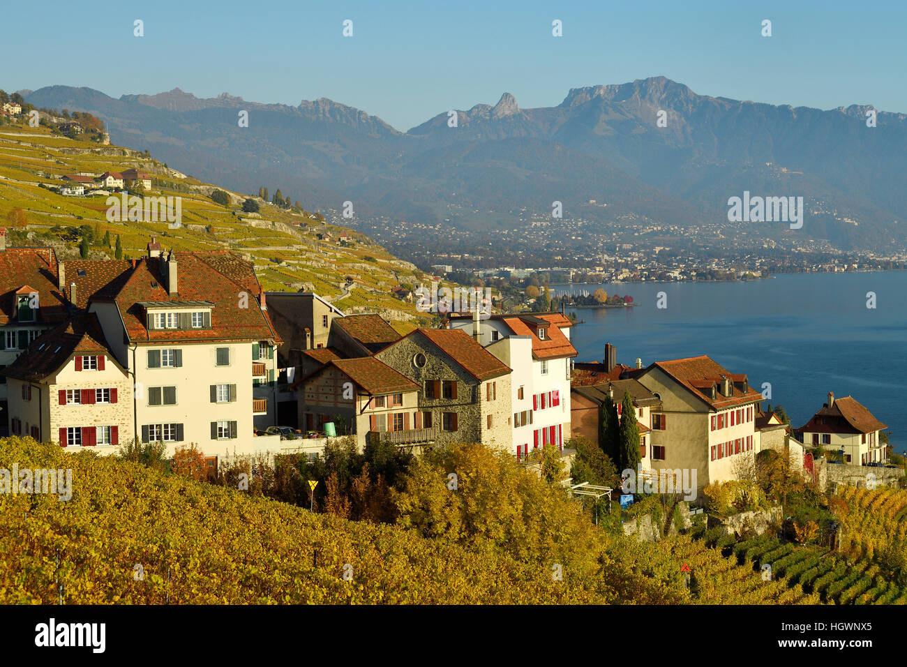Vignes en automne, le lac de Genève et village viticole de Rivaz ... Vignes en automne, le lac de Genève et village viticole de Rivaz ...