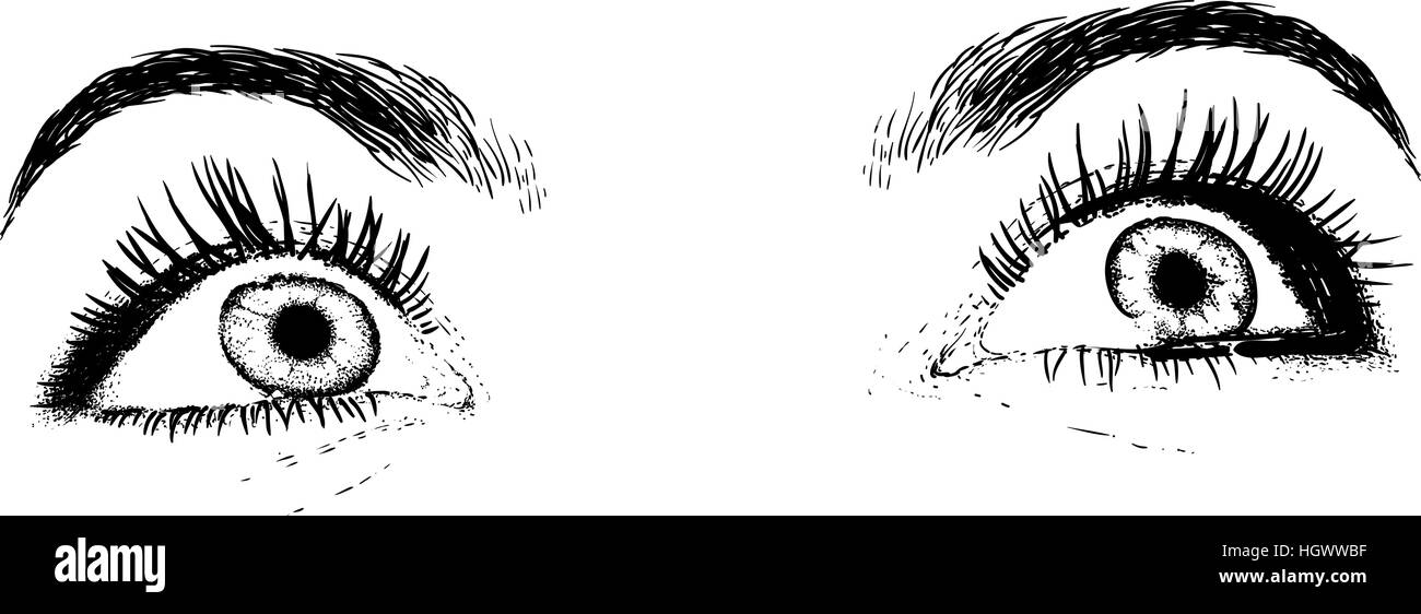 Oeil humain vision Banque d'images vectorielles - Alamy