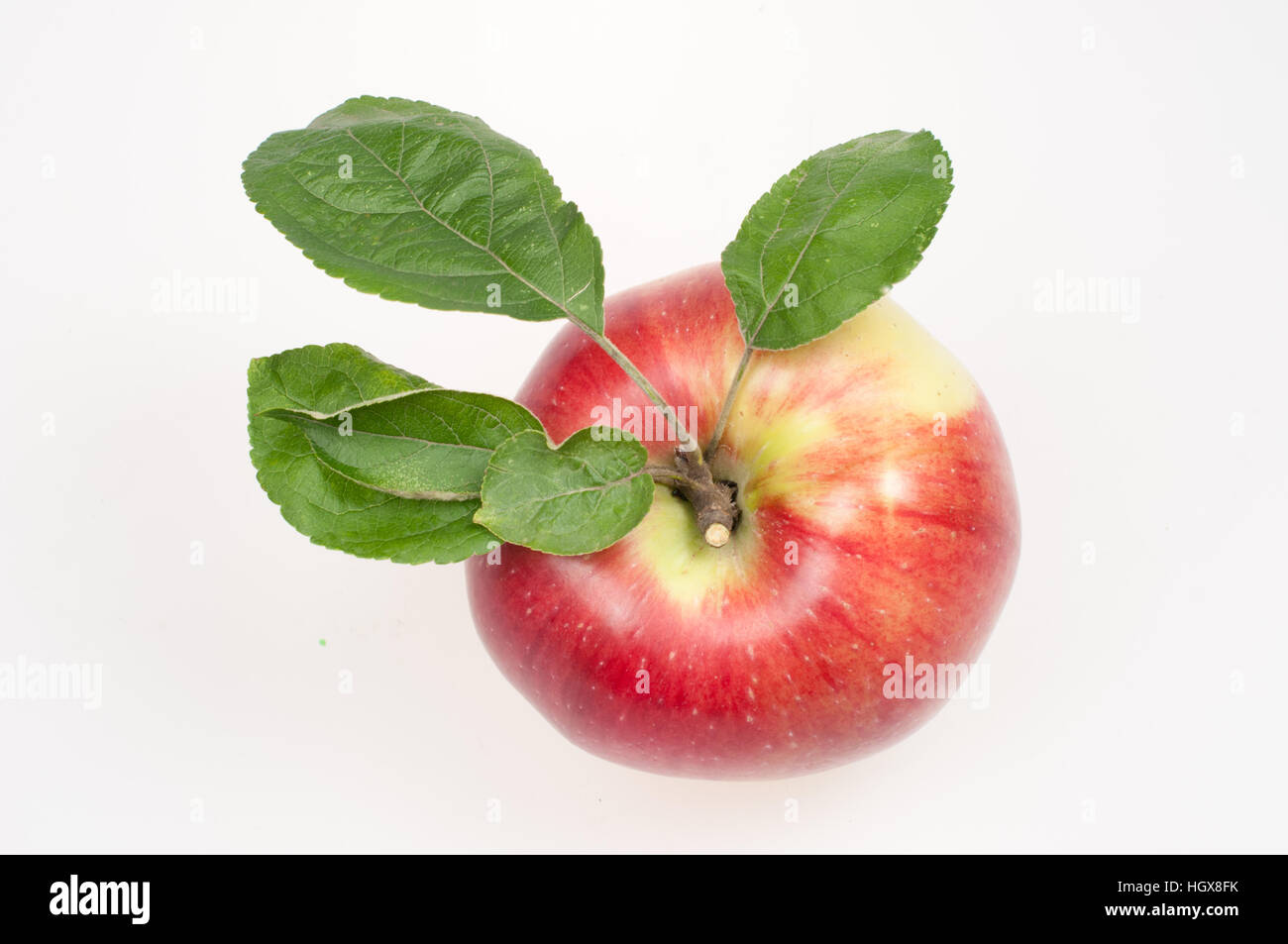Pomme rouge sur fond blanc Banque de photographies et d’images à haute ...