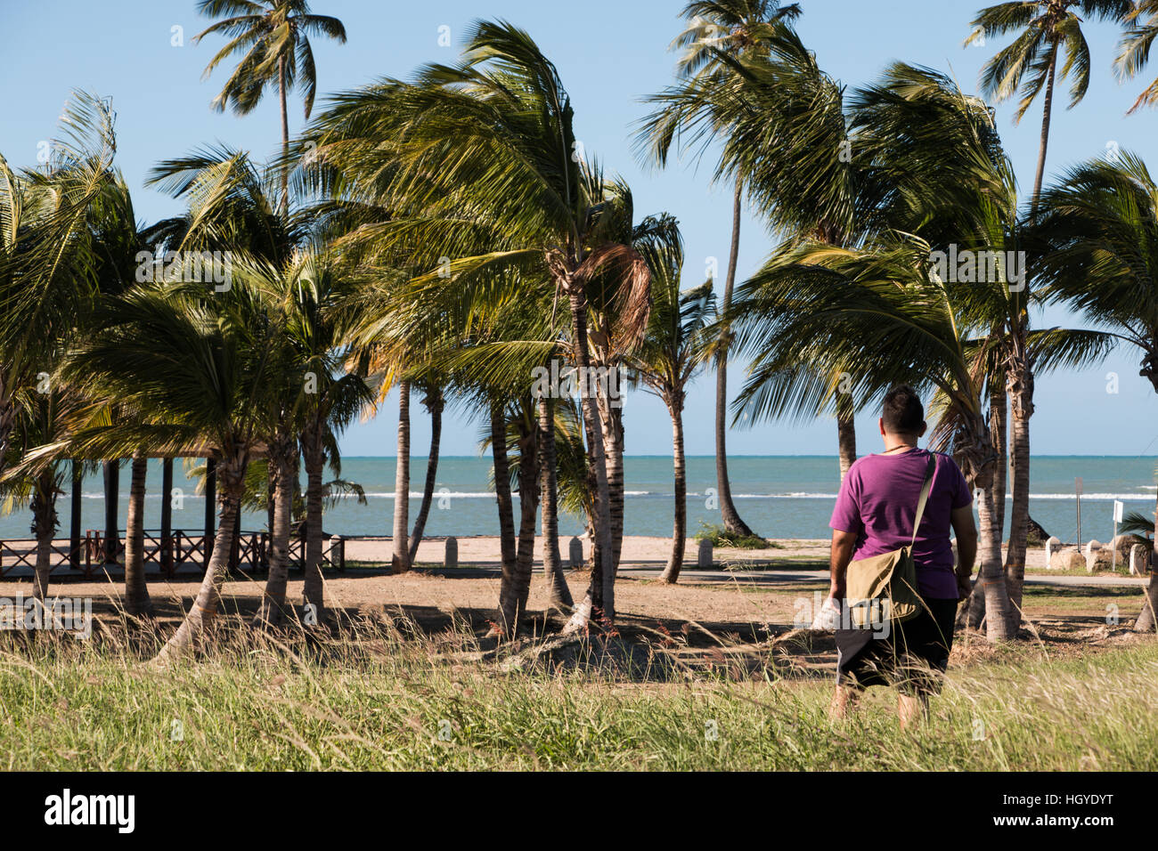 Rio rico Banque de photographies et d’images à haute résolution - Alamy