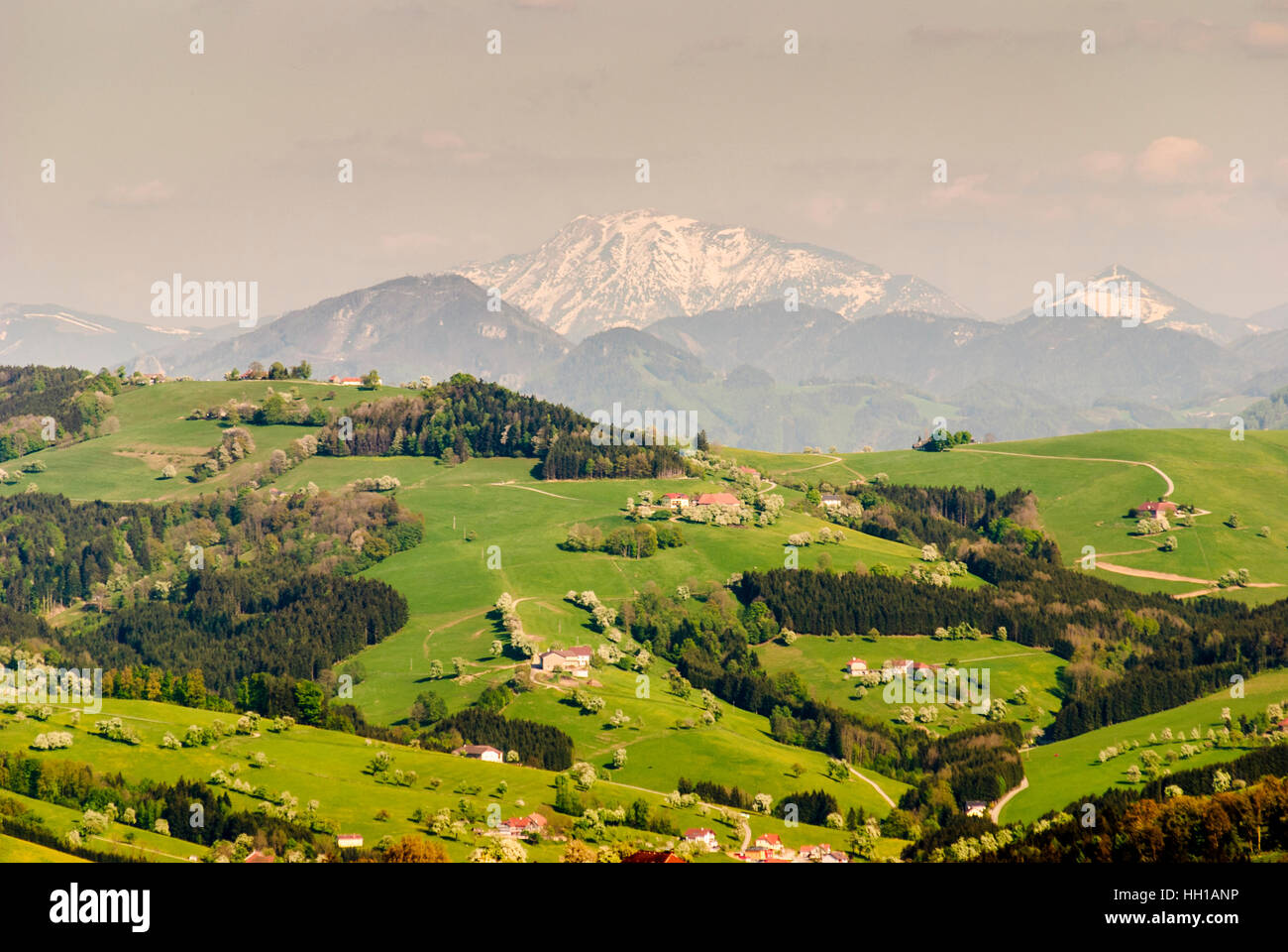 Ertl : vue montagne Ötscher, la floraison des arbres fruitiers ...