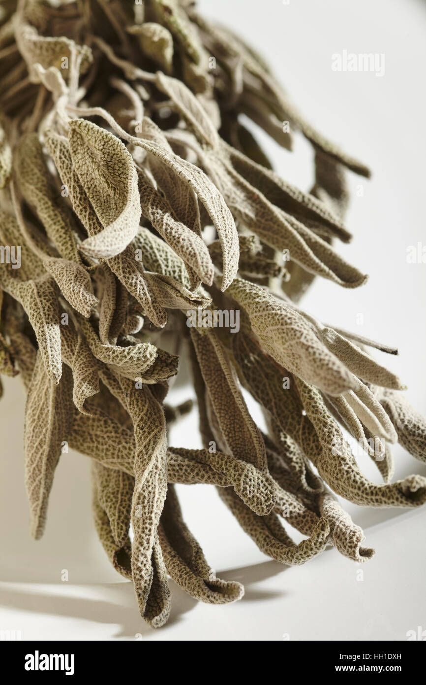 Un tas de feuilles Banque de photographies et d’images à haute ...