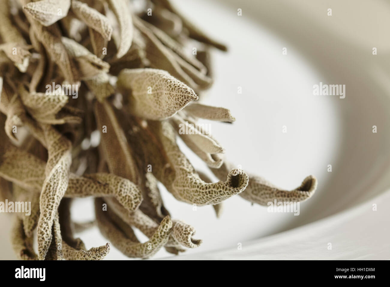 Sauge séchée Banque de photographies et d’images à haute résolution - Alamy