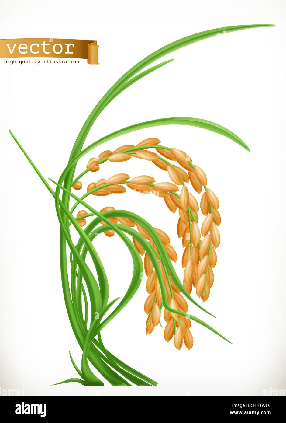 Le riz. Icône vecteur 3D Image Vectorielle Stock - Alamy