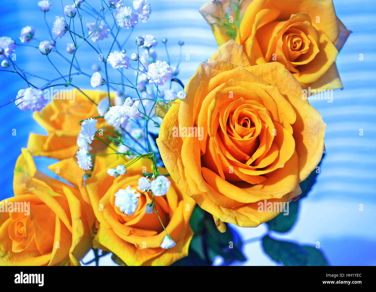 Blue roses bouquet Banque de photographies et d’images à haute ...