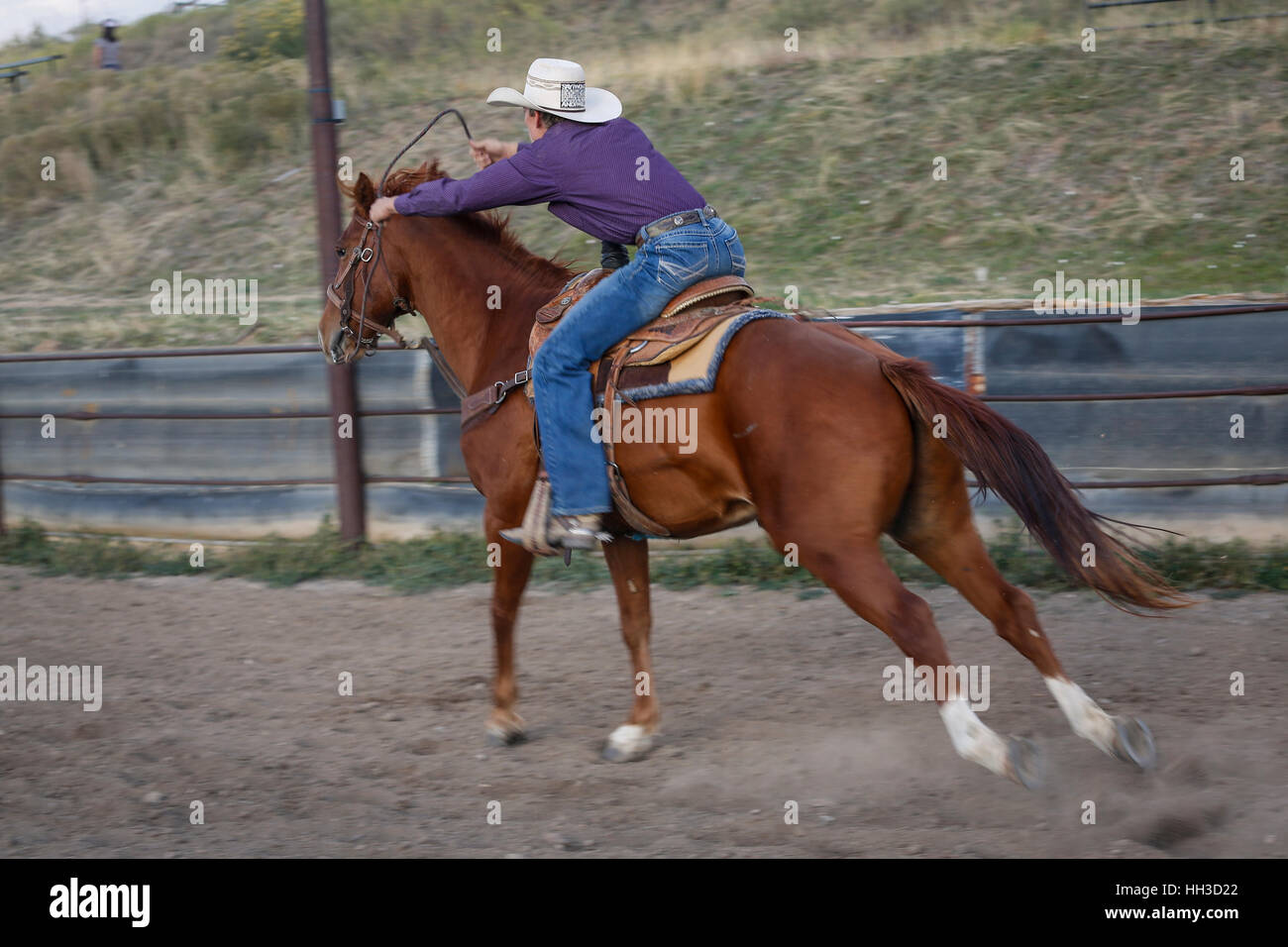Cowboy avec son cheval qui court Banque de photographies et d’images à ...