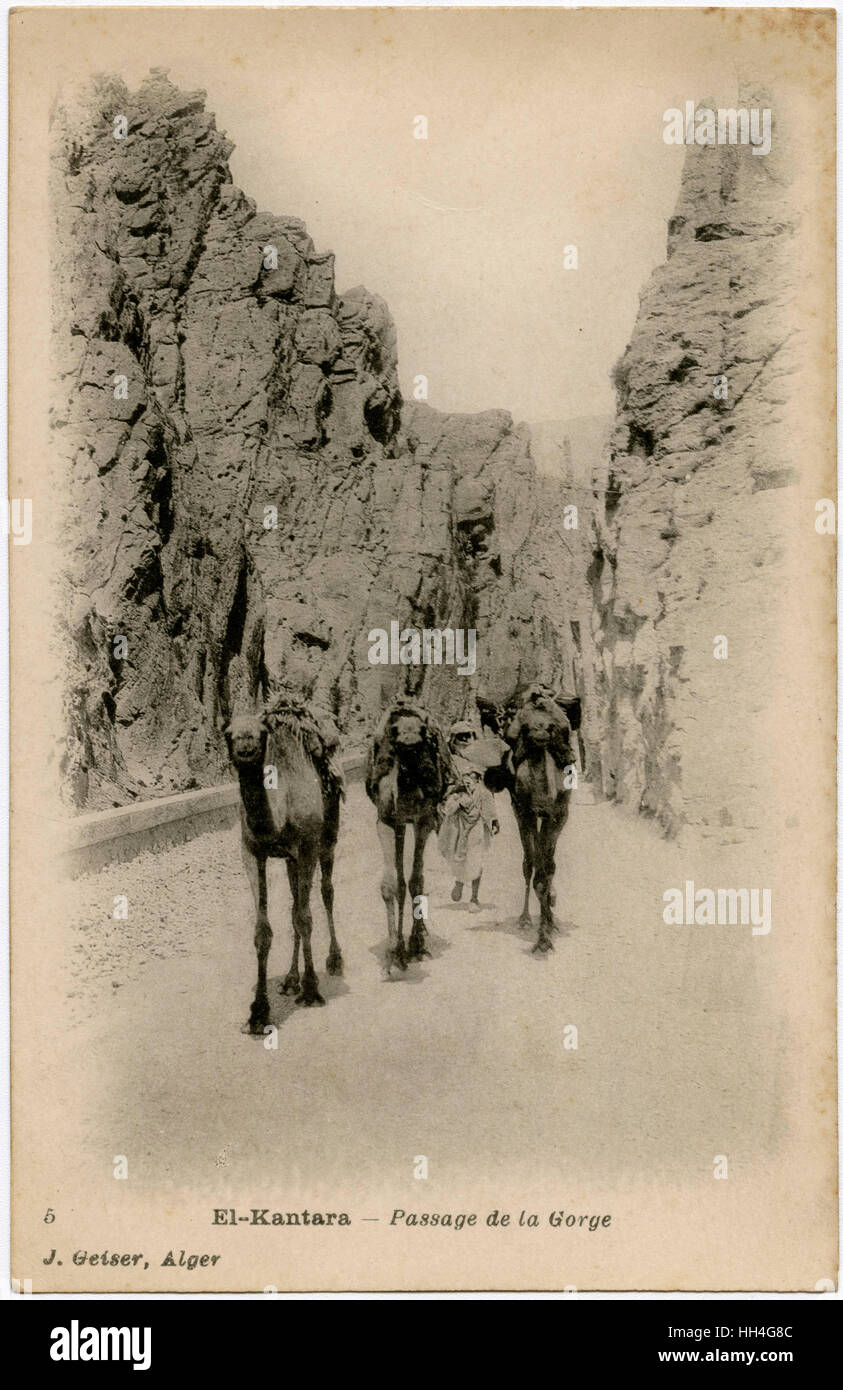 El kantara algerie Banque de photographies et d’images à haute résolution - Alamy
