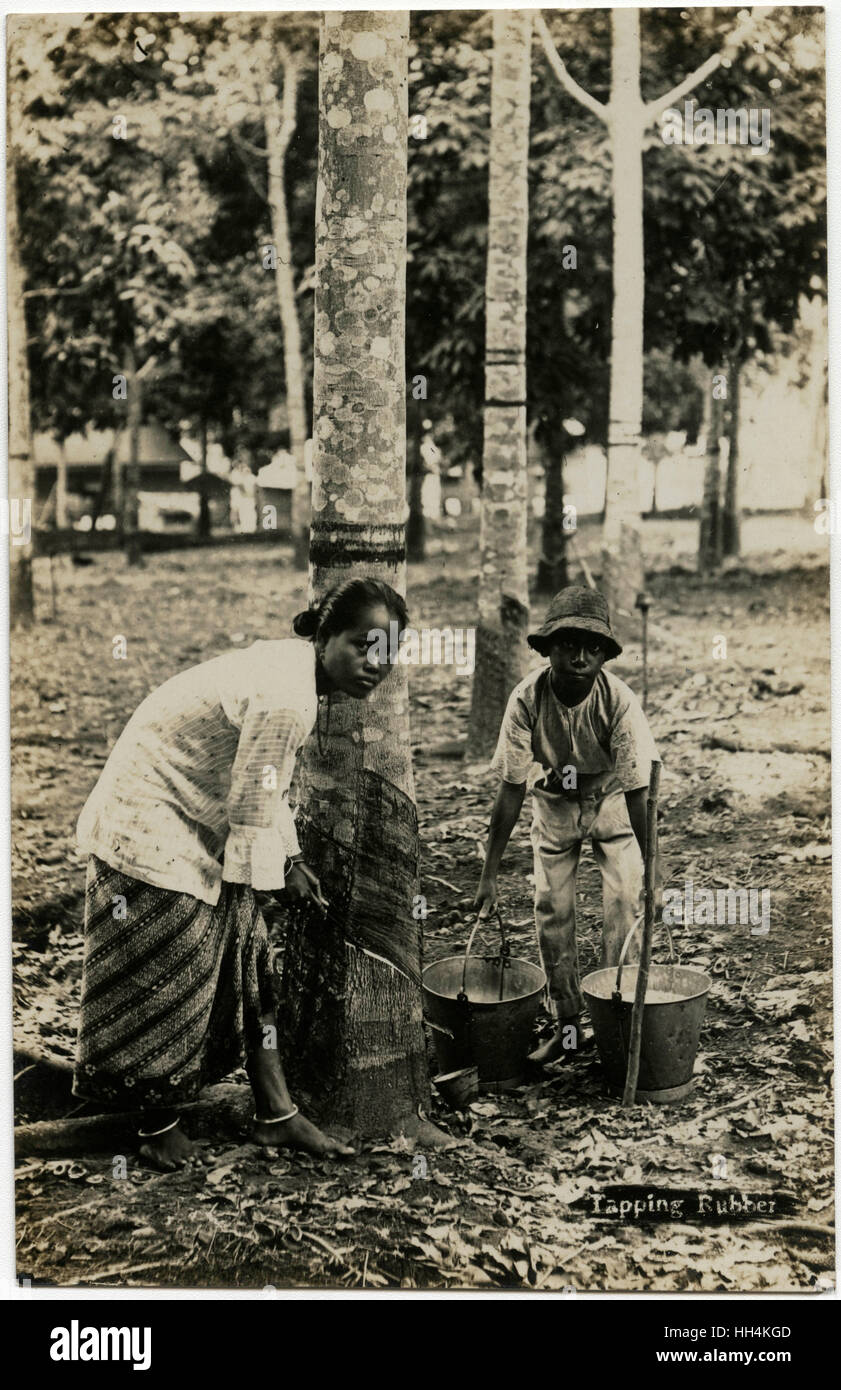 Tapping rubber Banque de photographies et d’images à haute résolution - Alamy