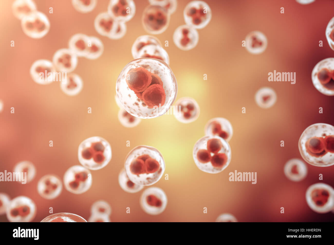 Arrière-plan des cellules rouges. La vie et la biologie, la médecine ...
