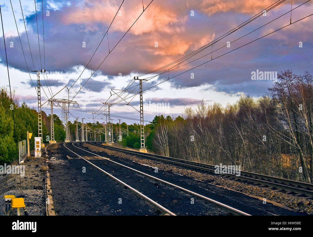 Les voies, les chemins de fer, rails, houle, connecté, arbre, arbres ...