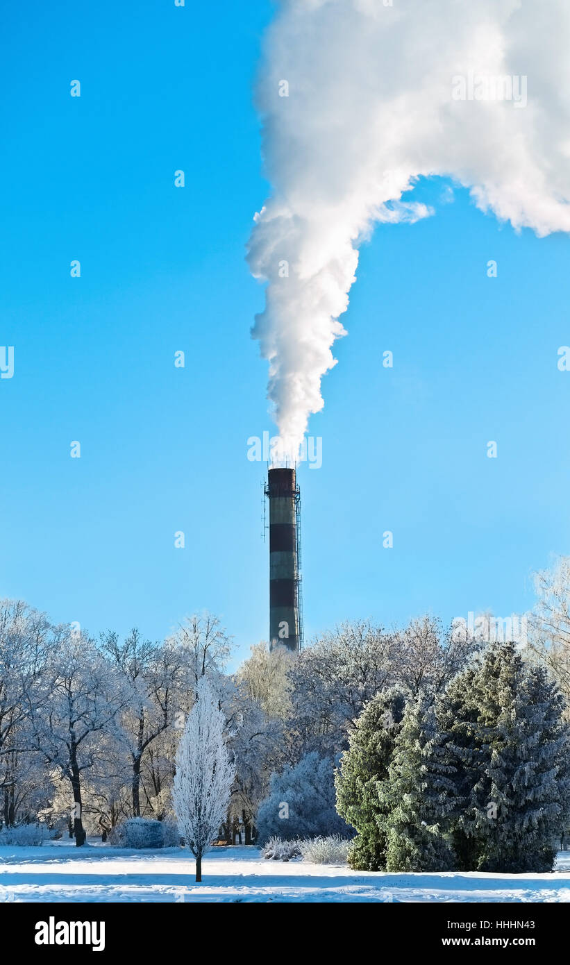 L'hiver, la neige, le coke, la cocaïne, le matériel, les médicaments ...