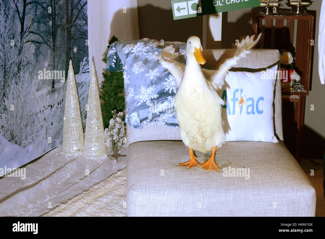 Canard aflac Banque de photographies et d’images à haute résolution - Alamy