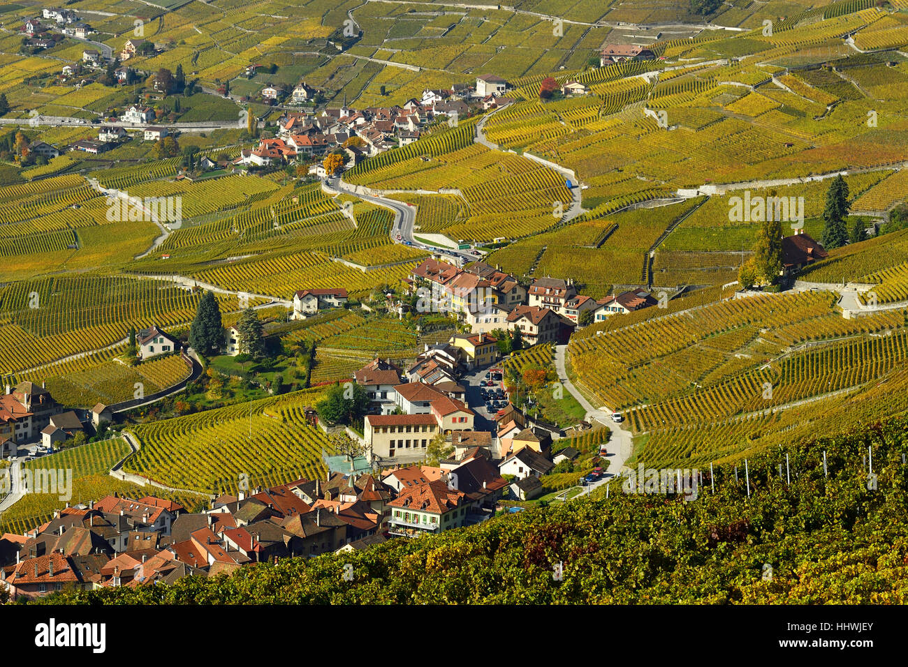 Epesses in lavaux Banque de photographies et d’images à haute ...