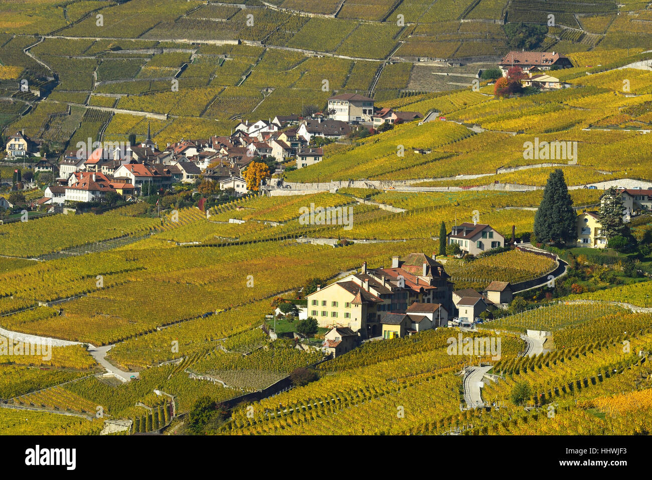 Epesses in lavaux Banque de photographies et d’images à haute ...