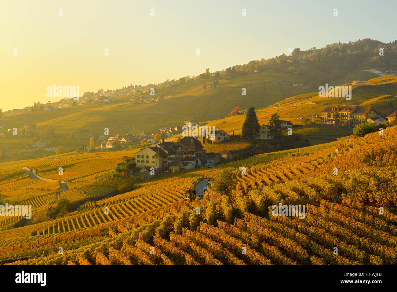 Riex suisse Banque de photographies et d’images à haute résolution - Alamy
