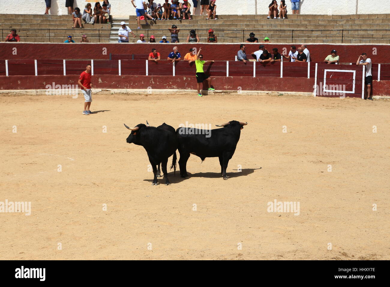 La corrida traditionnelle est encore bien dans petit village villages d ...