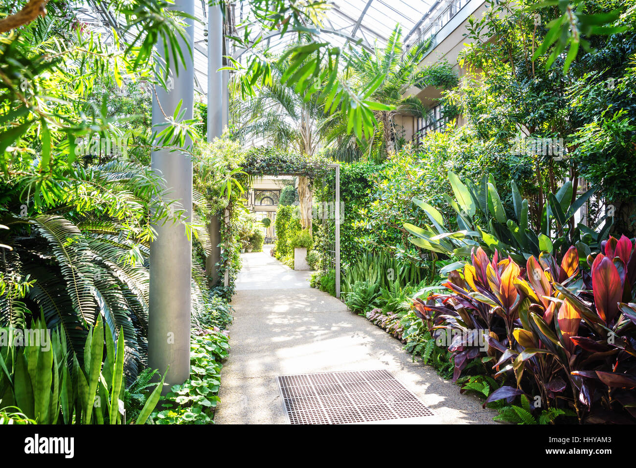 Serre jardin botanique des plantes exotiques Photo Stock - Alamy