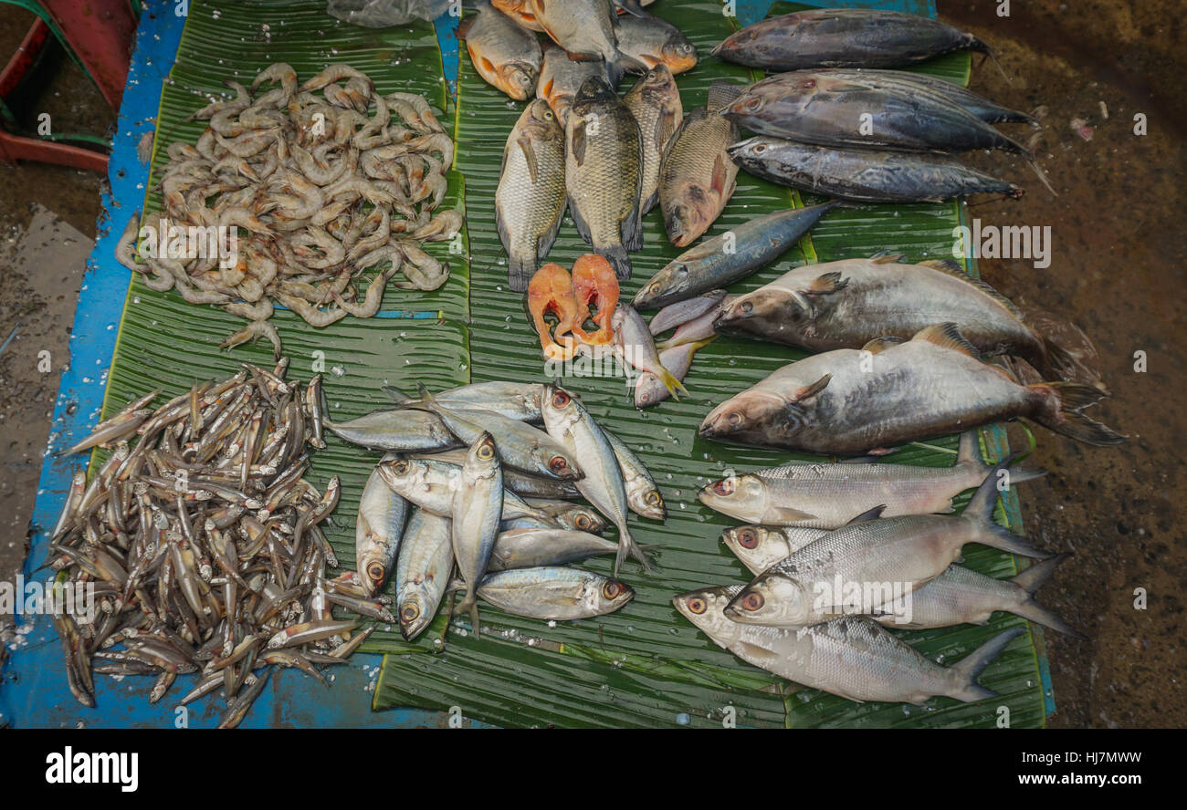 La vente de poissons d'eau salée sur le dessus de la feuille de banane ...