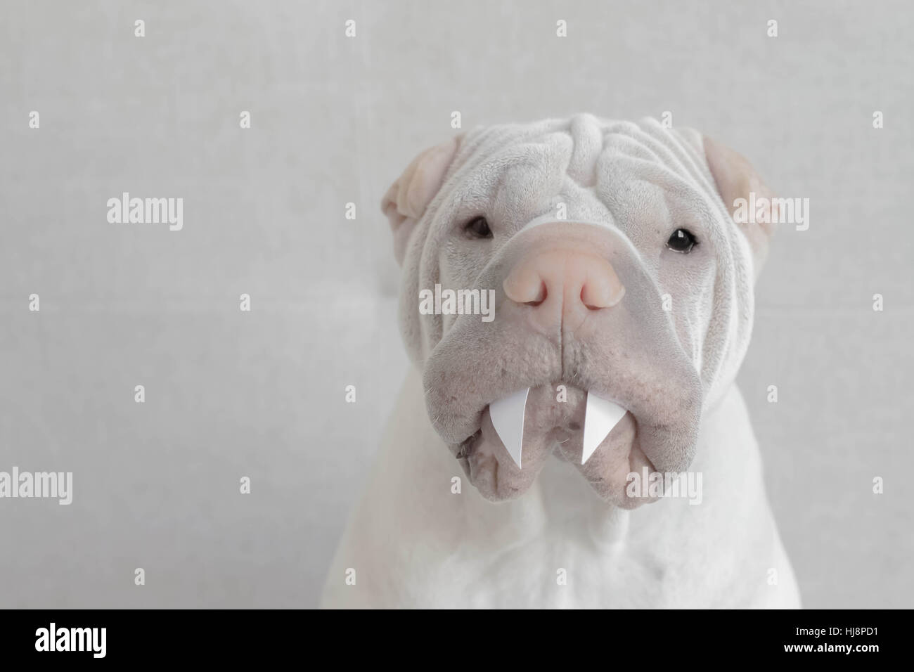 Vampire culture Banque de photographies et d’images à haute résolution ...