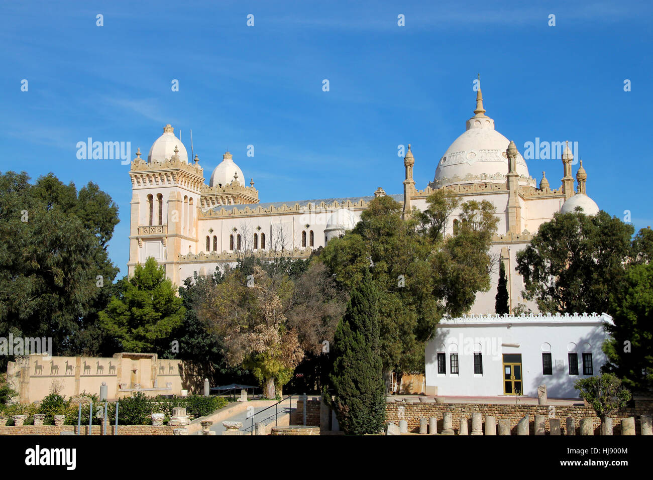 Cathédrale, Tunisie, saint, Carthage, historique, église, arbre, Dome ...