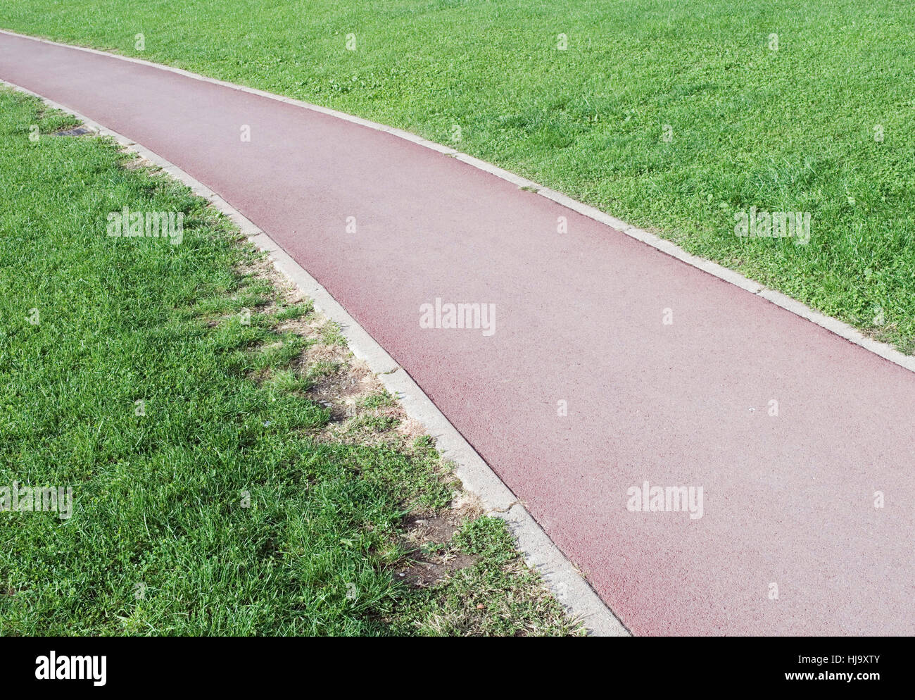 Courbe, chemin, voie, pelouse, vert, voie d'exposition, parc ...