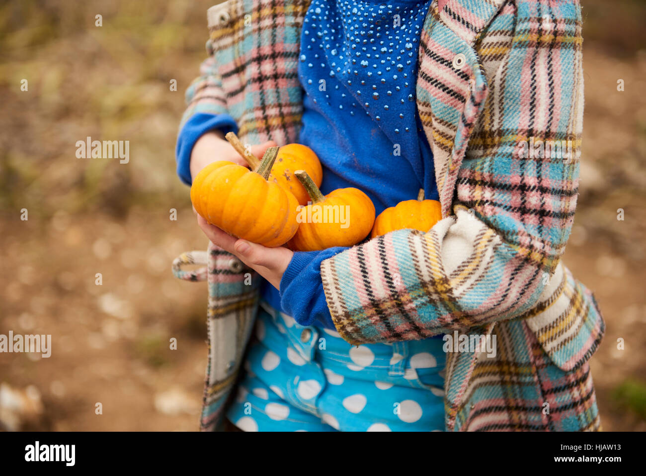 Champ De Citrouille Banque d'image et photos - Alamy