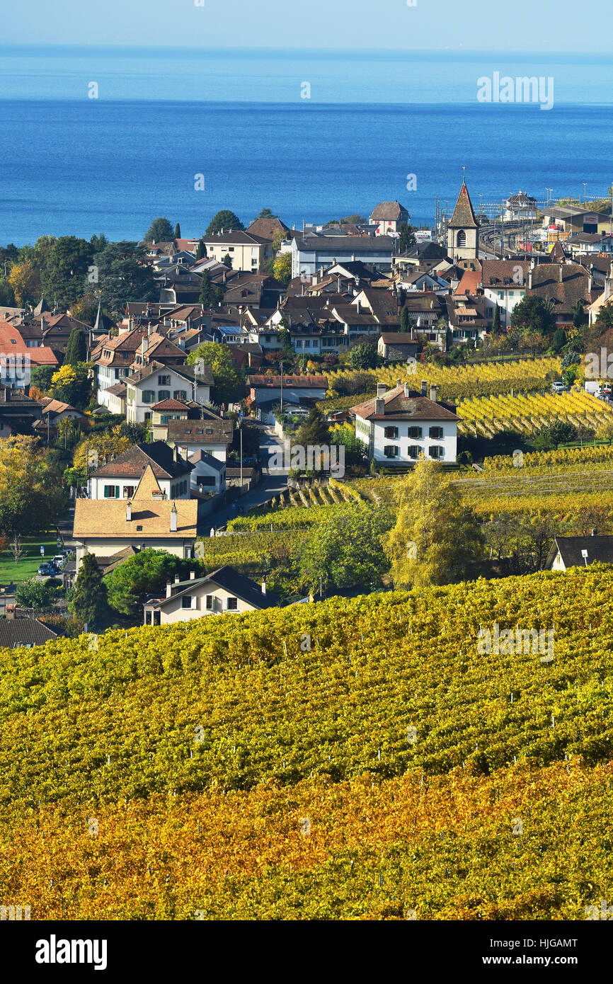 Vineyards lavaux view cully village Banque de photographies et d’images ...