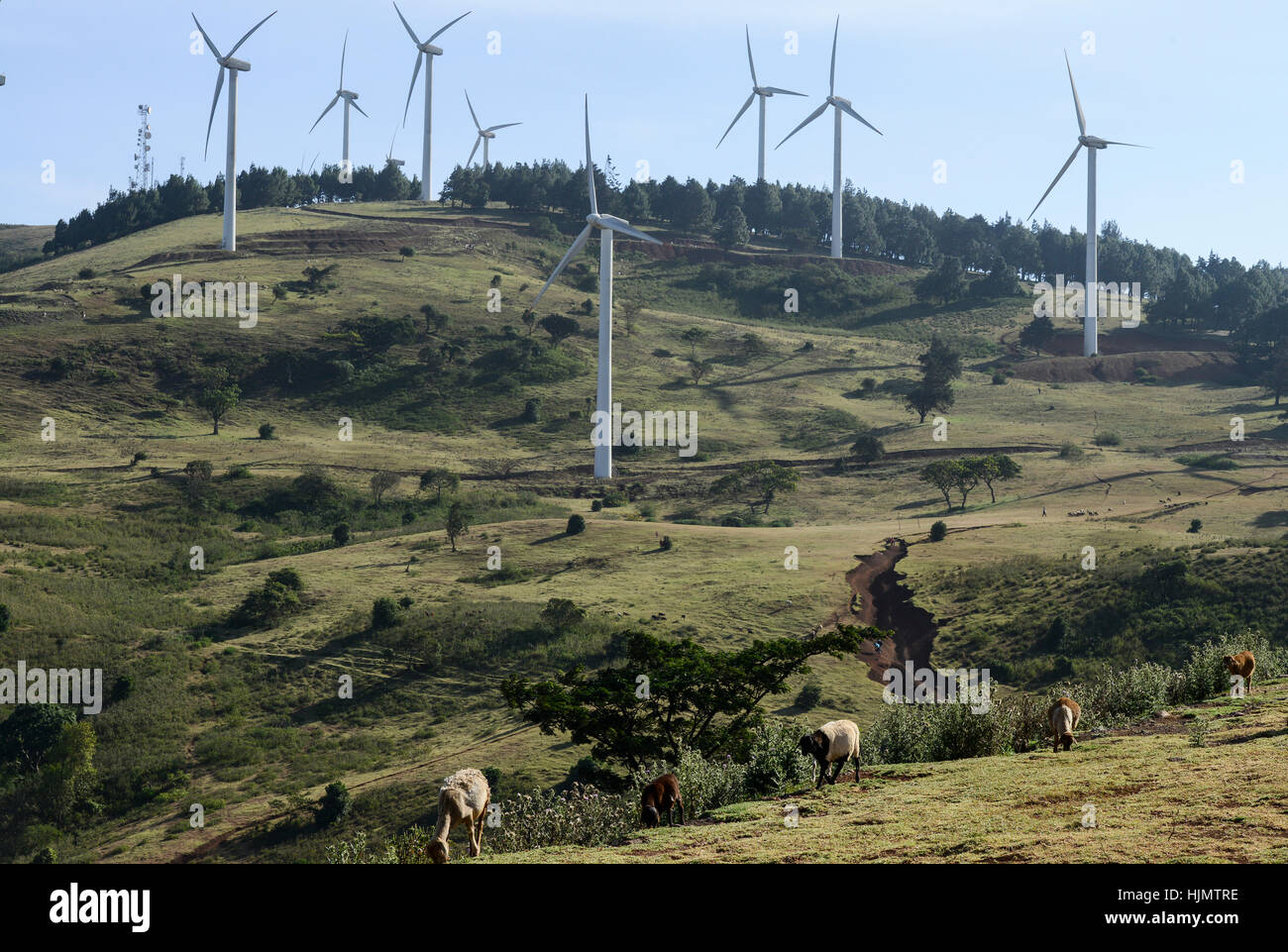 KENYA, Nairobi, Ngong Hills, 25,5 MW Wind Power Station avec Vestas et ...