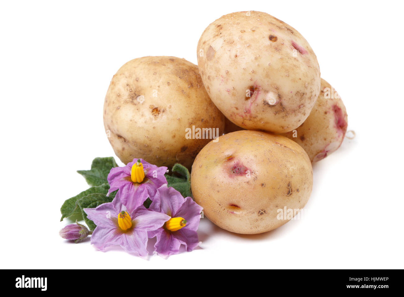 Légume rose Banque de photographies et d’images à haute résolution ...