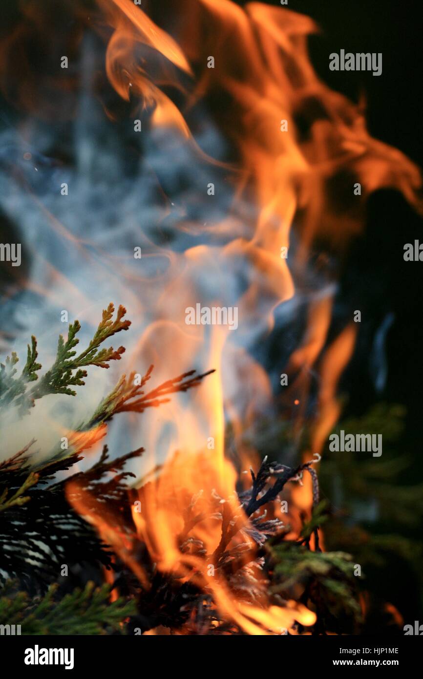 Danger, feu, incendie, flamme, feu de forêt, brûler, dangereux, danger ...