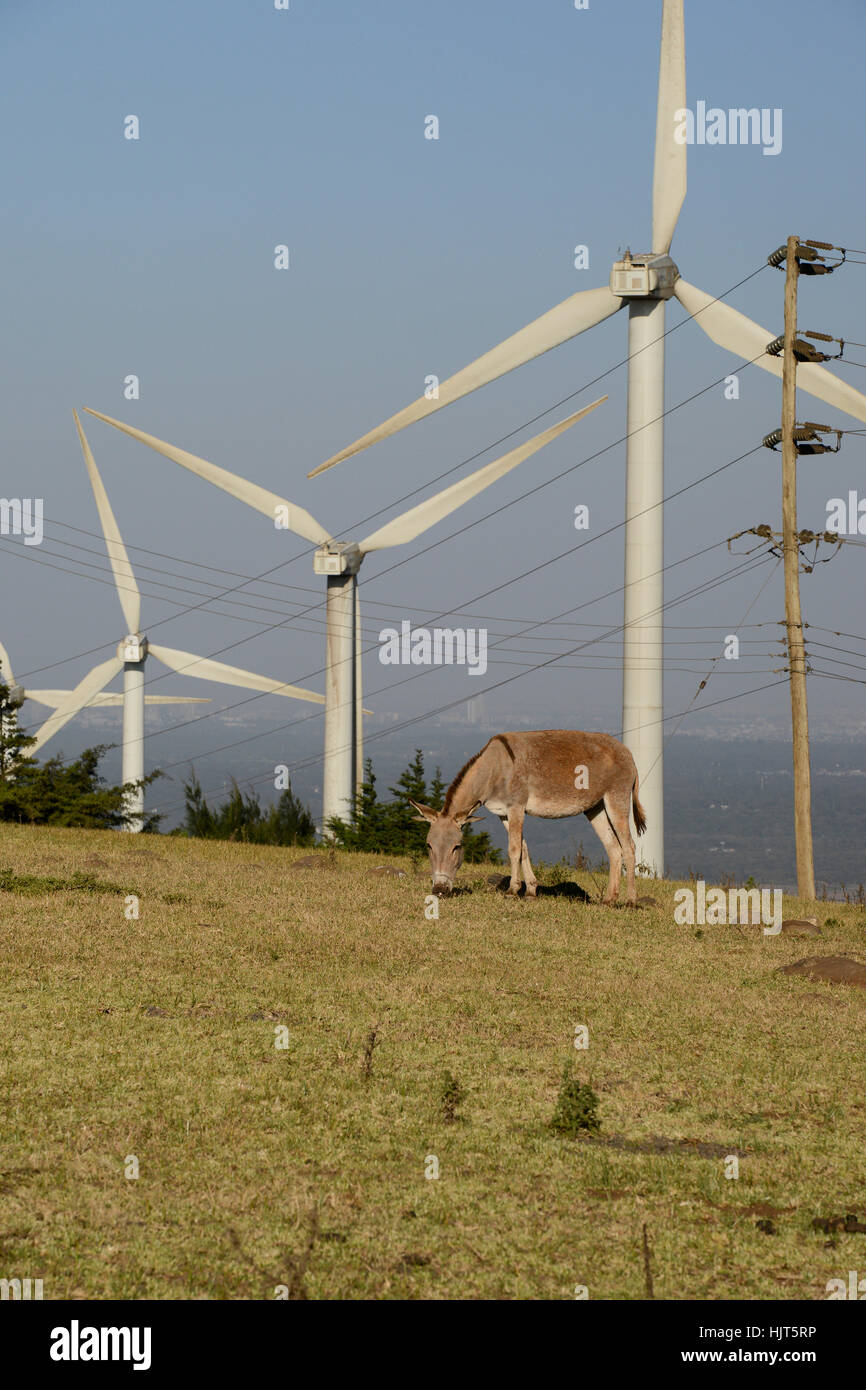 KENYA, Nairobi, Ngong Hills, 25,5 MW Wind Power Station avec Vestas et ...