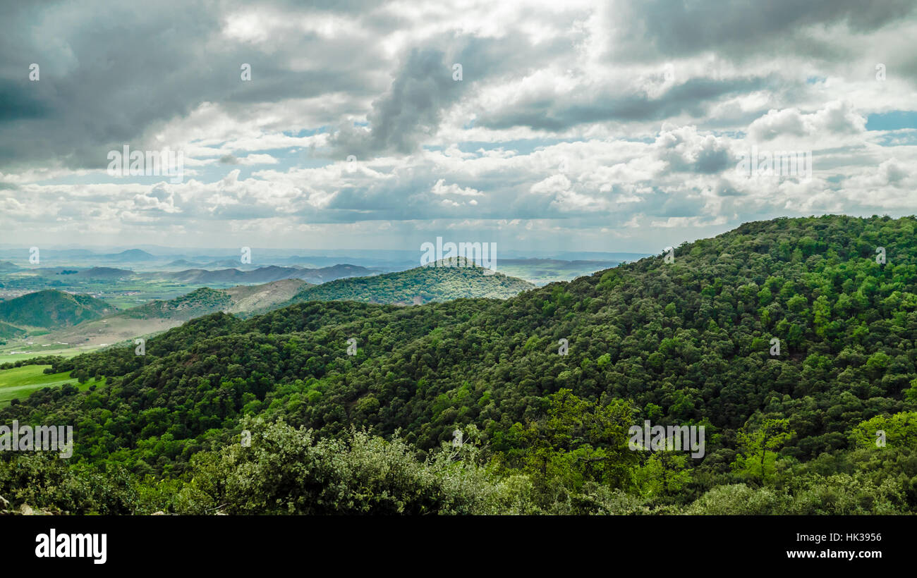 Azrou maroc Banque de photographies et d’images à haute résolution - Alamy