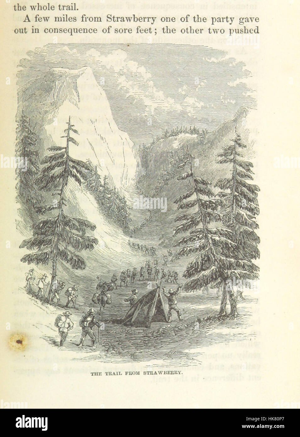 Crusoe's Island : une balade dans les pas d'Alexandre Selkirk. Avec des ...