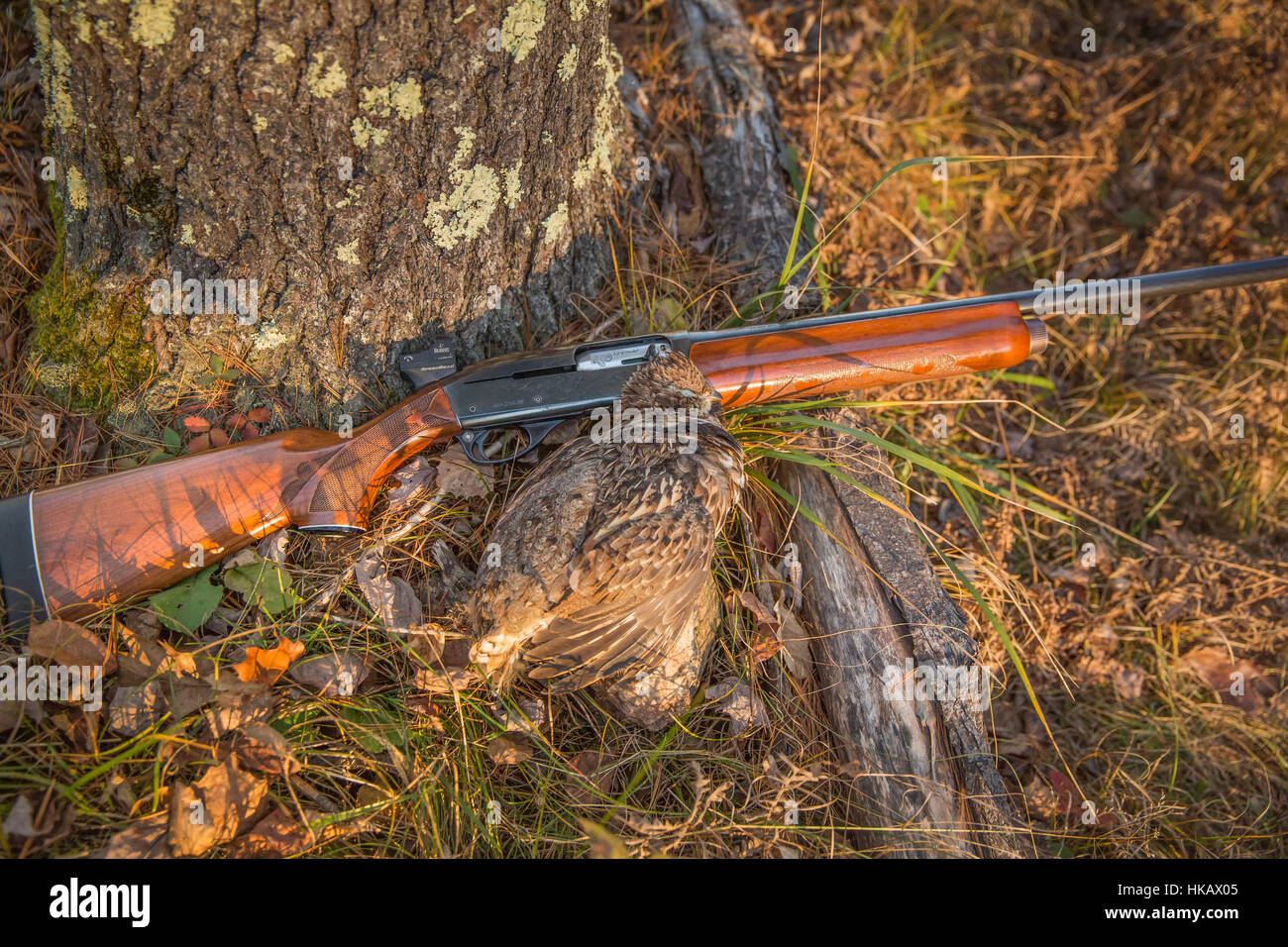 Remington 1100 fusil de chasse semi automatique de calibre 12 Banque de ...