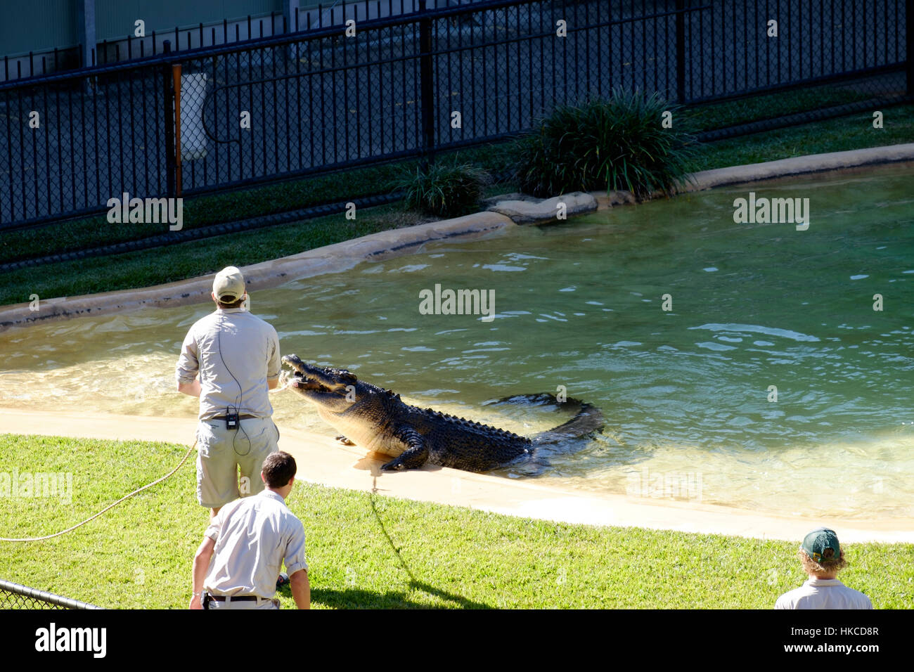 Crocoseum zoo australiano Banque de photographies et d’images à haute ...