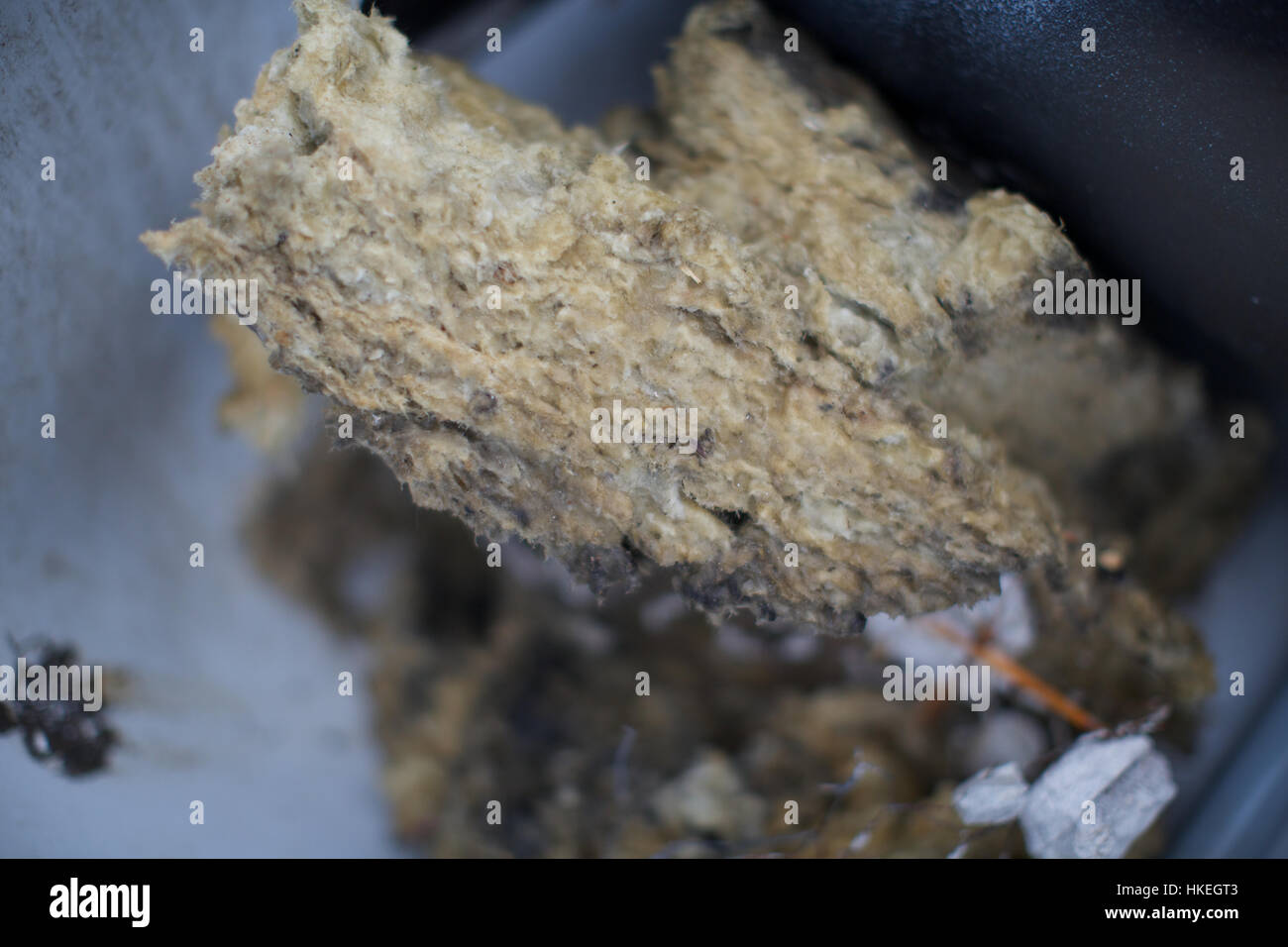 Rockwool texture Banque de photographies et d’images à haute résolution ...