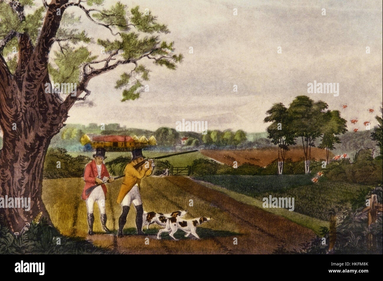 Robert partridge Banque de photographies et d’images à haute résolution ...