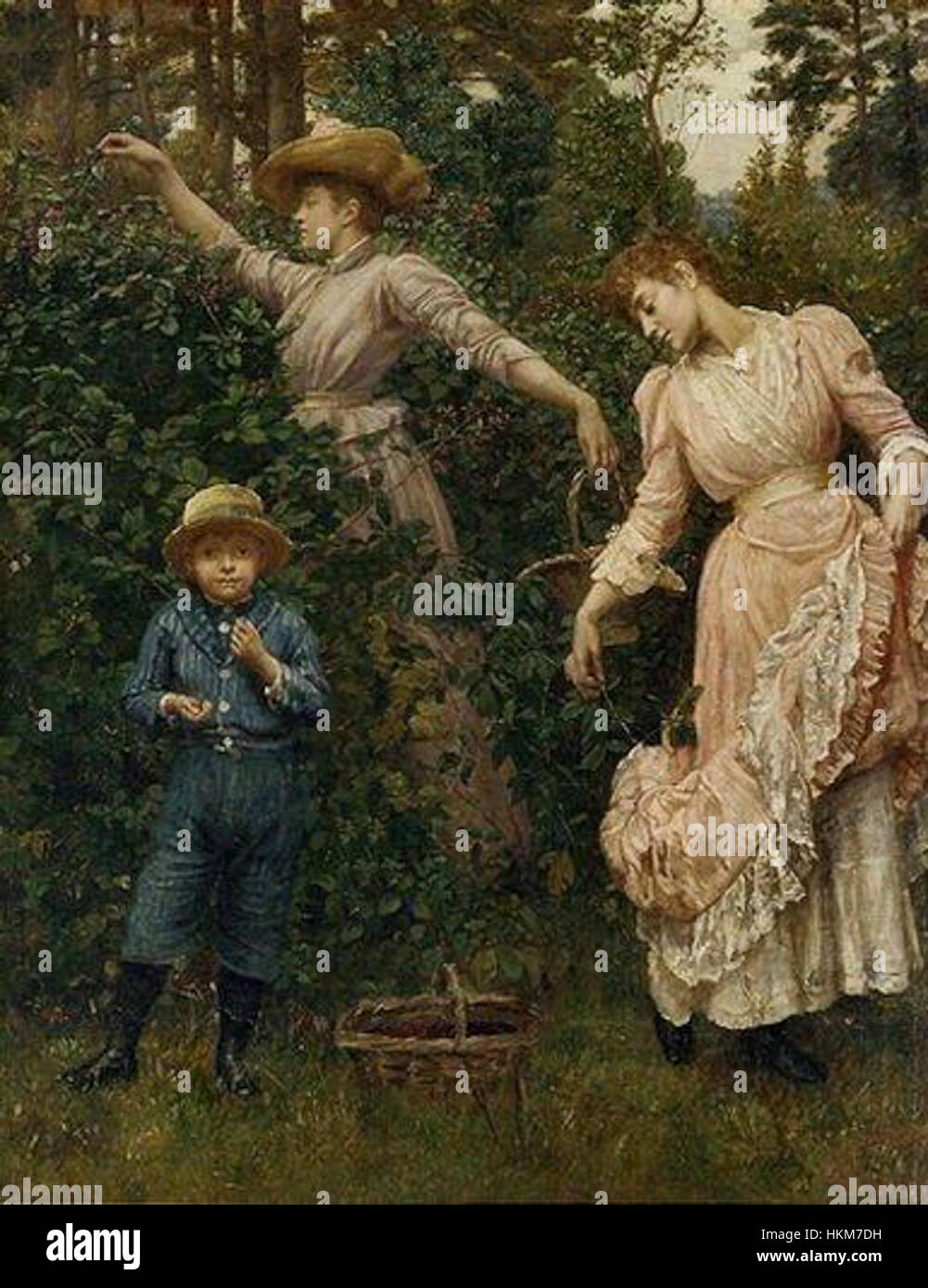 Ronces dessin Banque de photographies et d’images à haute résolution ...